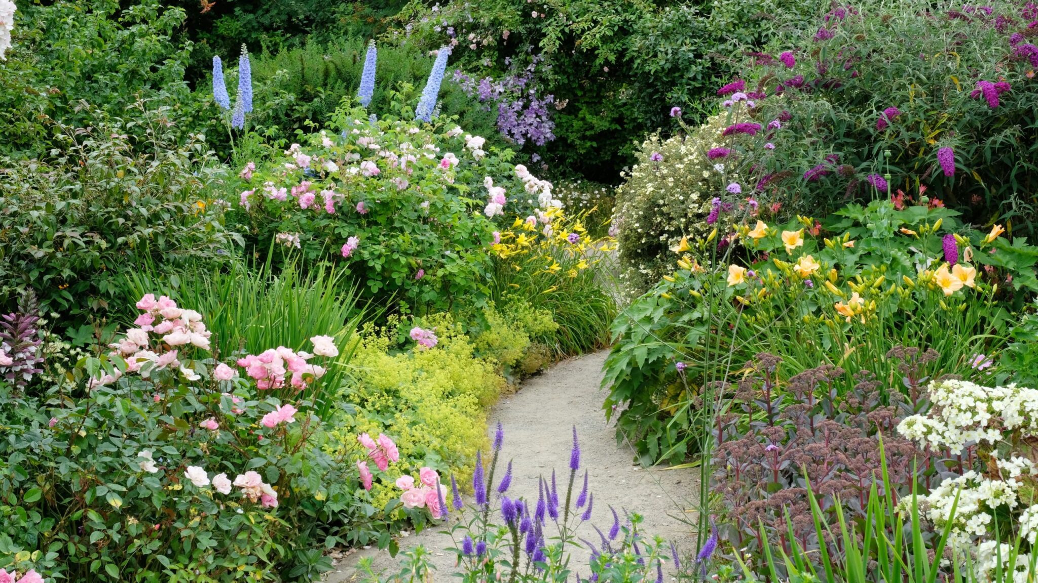 6 old-fashioned plants making a big comeback in 2026 | Home Improvement ...